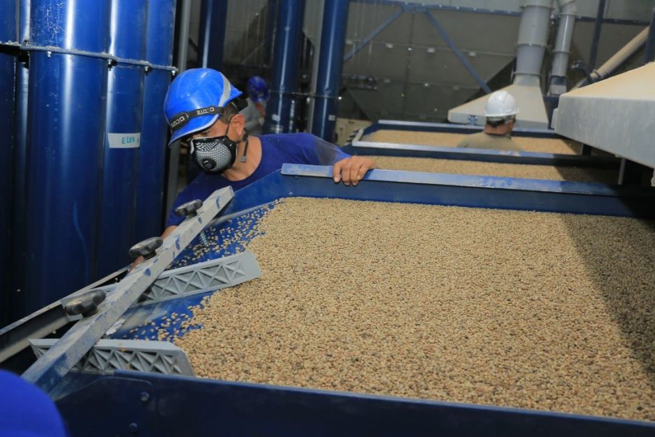 Green Coffee Mill in Jaén Celebrates Its First Birthday – Genuine ...