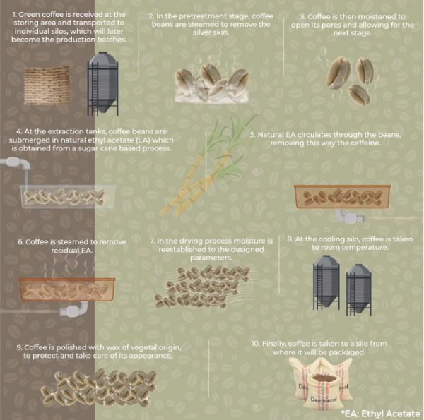 What is Decaf Coffee? A Guide to Decaffeination - Genuine Origin