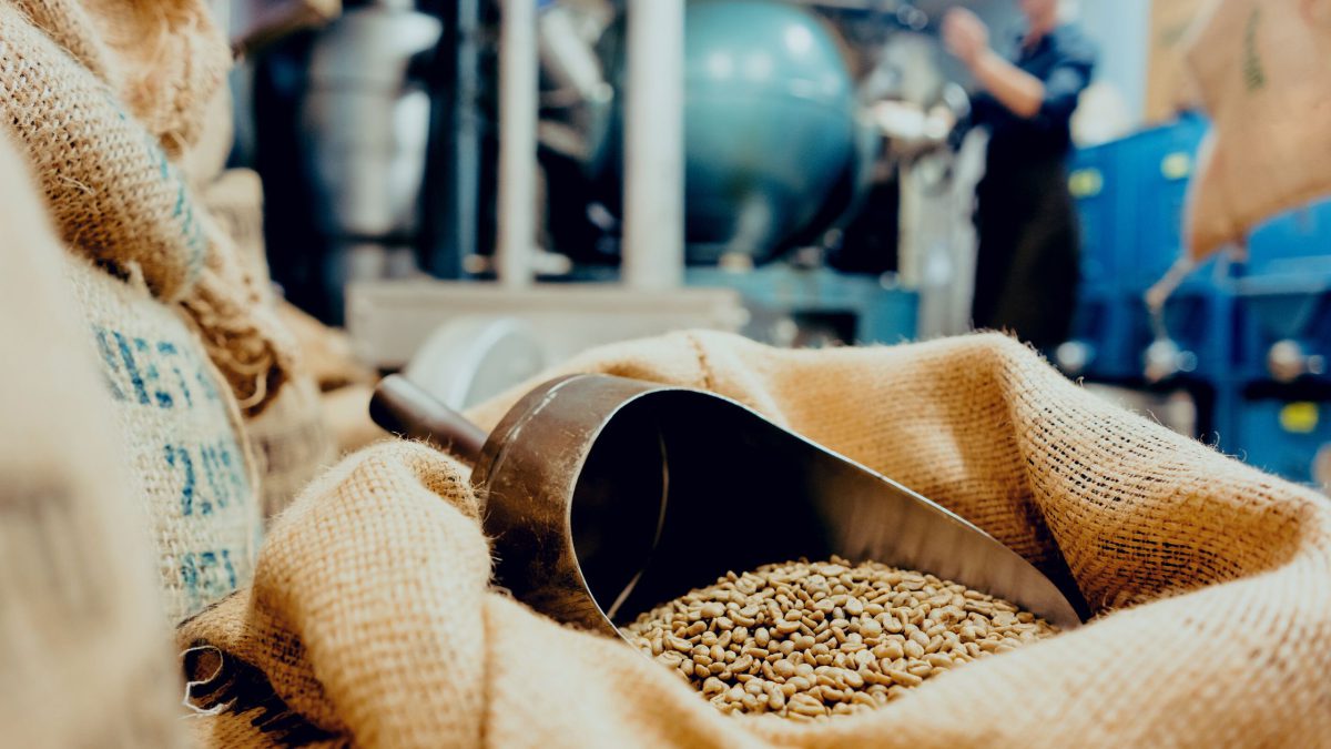 The Ultimate Guide to Green Coffee Bean Storage - Genuine Origin Coffee