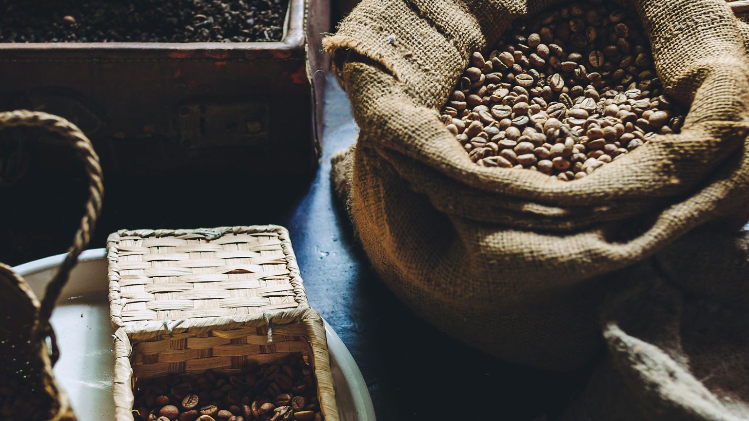 Arabica vs Robusta & More | A Coffee Roaster’s Guide to Coffee Species ...