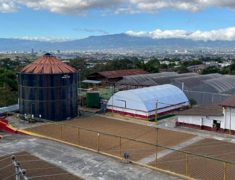 The SCA Coffee Flavor Wheel - Genuine Origin Coffee